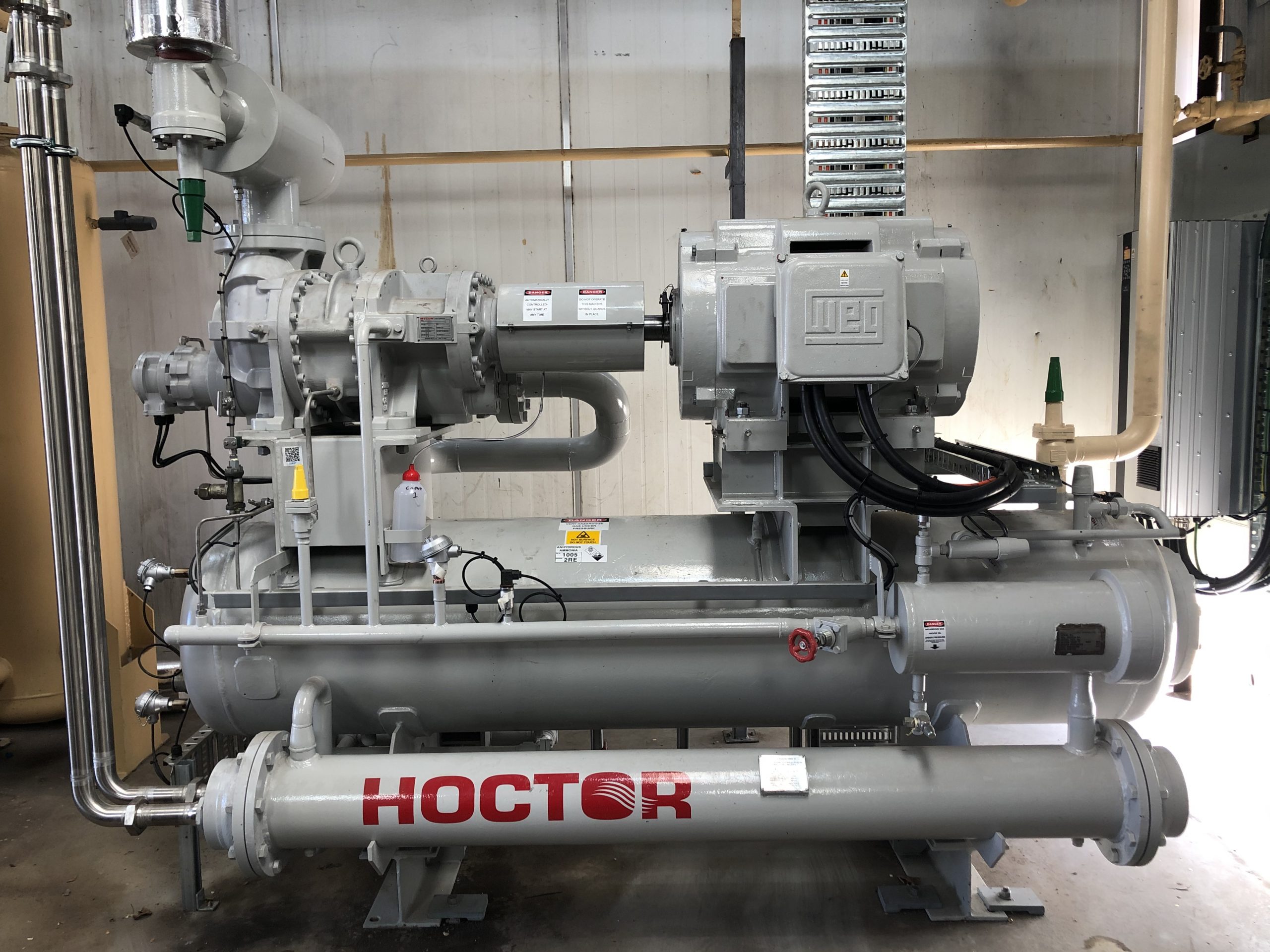 Hoctor