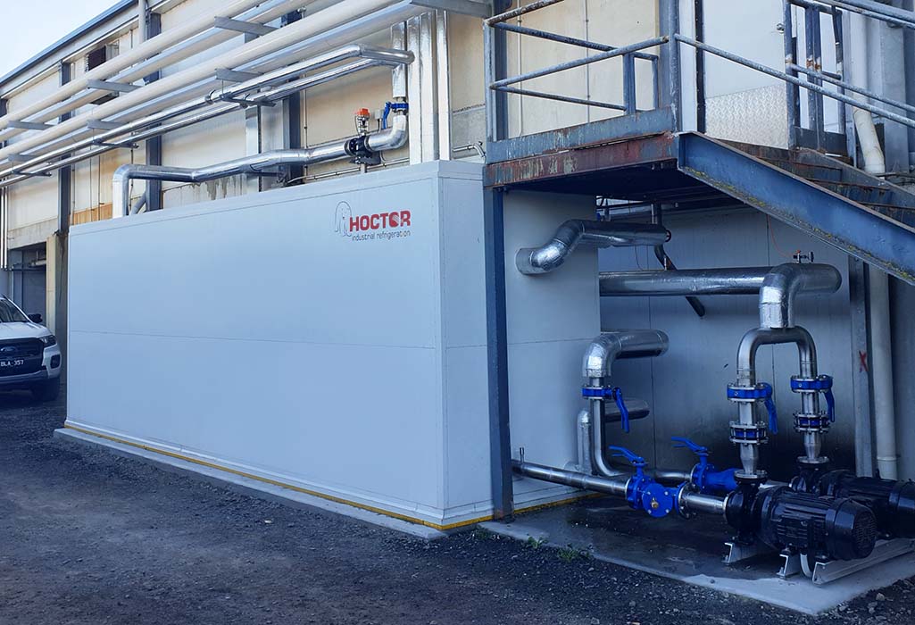 Hoctor